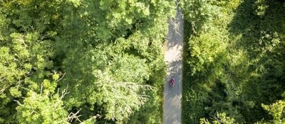 French forests to explore in all the regions of France