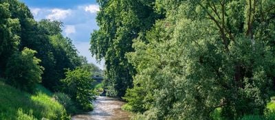 French forests to explore in all the regions of France