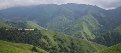 Forêt d’Iraty : à découvrir au Pays basque