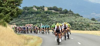 Tour de France fact and guide of the biggest cycling race in the world