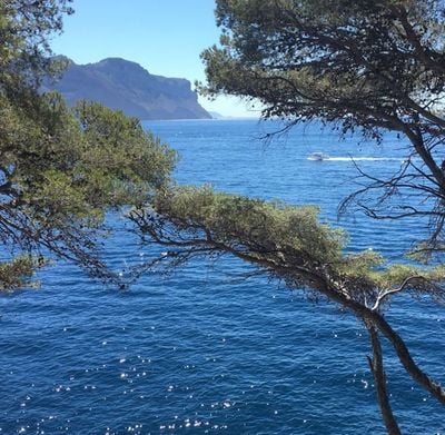Tout savoir sur la vanille Bourbon de l'Ile de la Réunion