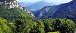 French forests to explore in all the regions of France