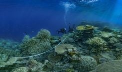 Mayotte: France's Tropical Paradise in the Indian Ocean