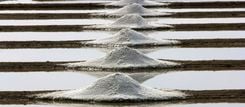 Our 5-minute guide to Guérande salt