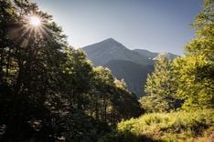 French forests to explore in all the regions of France