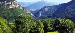 French forests to explore in all the regions of France