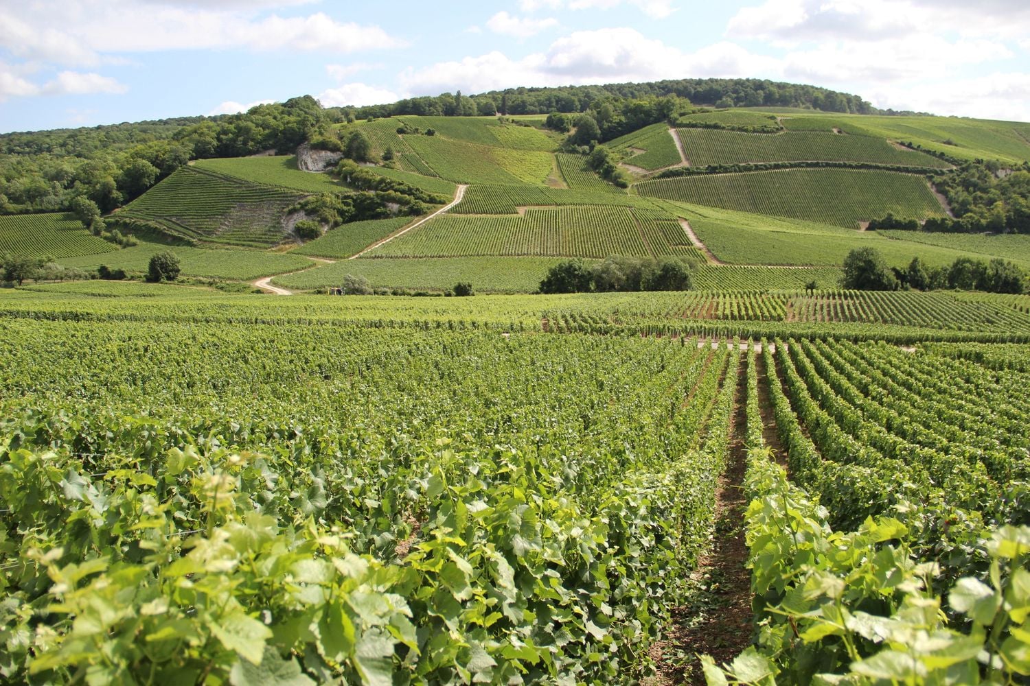 Visita la Champagne: qué ver, escapadas e itinerarios