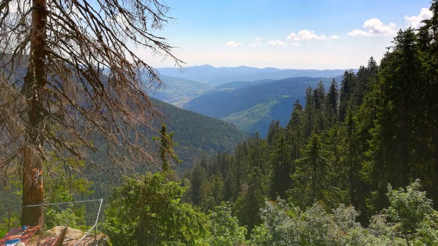 Macizo de los Vosgos: 6 rutas senderistas para pasarse al verde