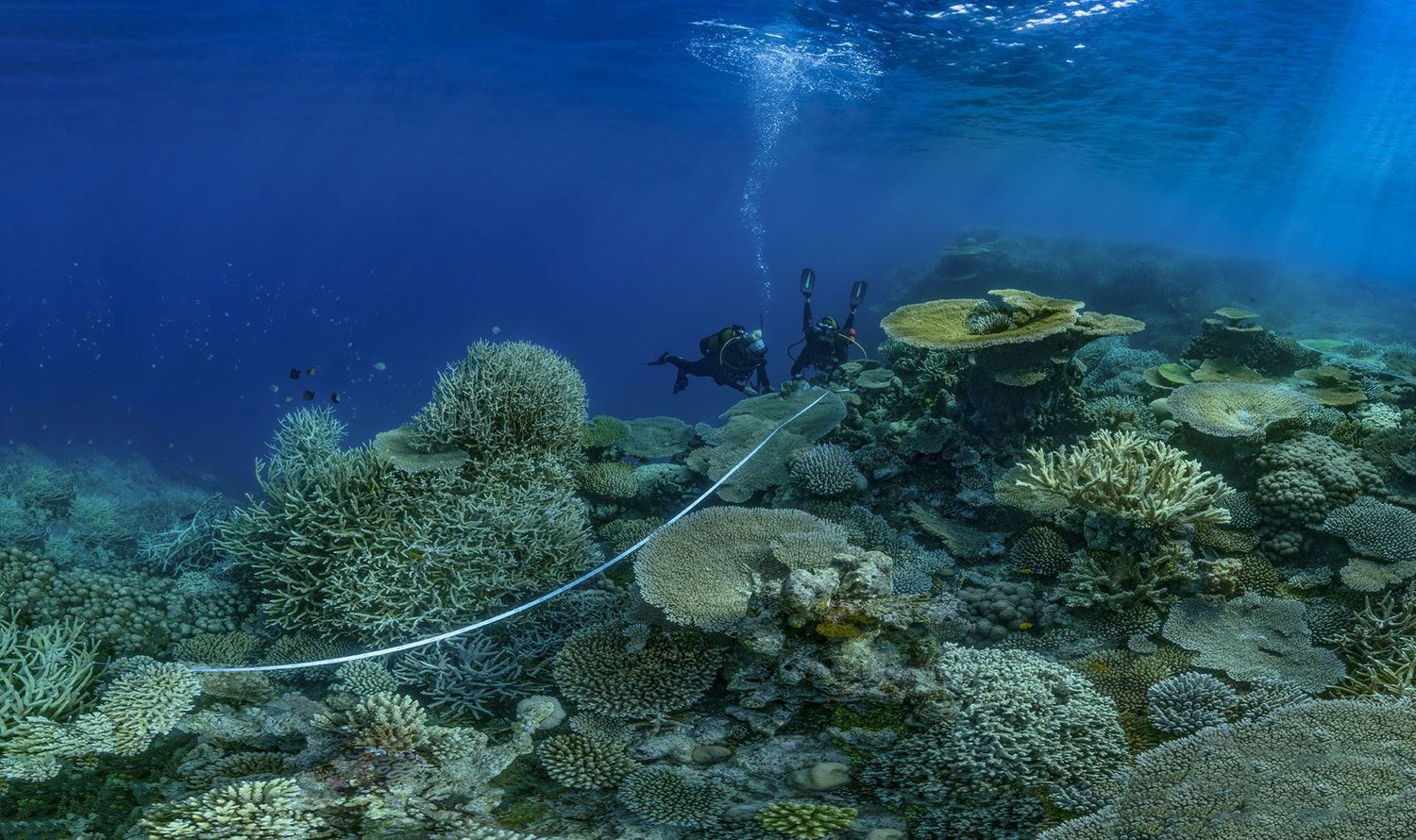 Mayotte: France's Tropical Paradise in the Indian Ocean