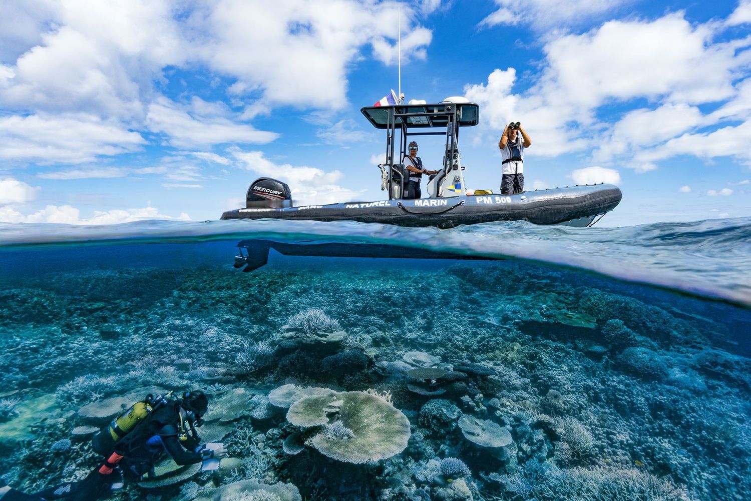 Dive the coral reefs of the French islands with Alexis Rosenfeld ...