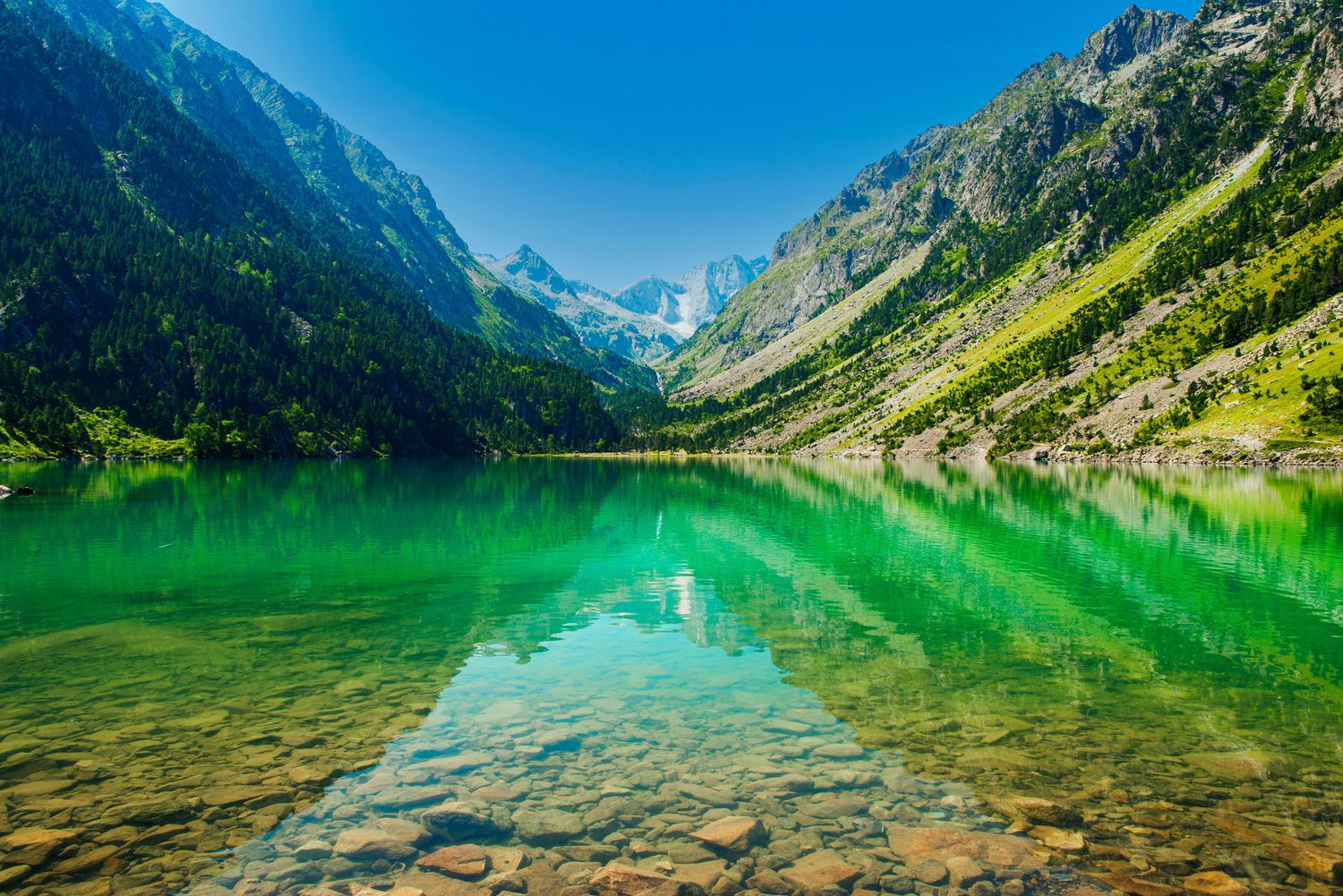 Forest bathe in the most heavenly French forests