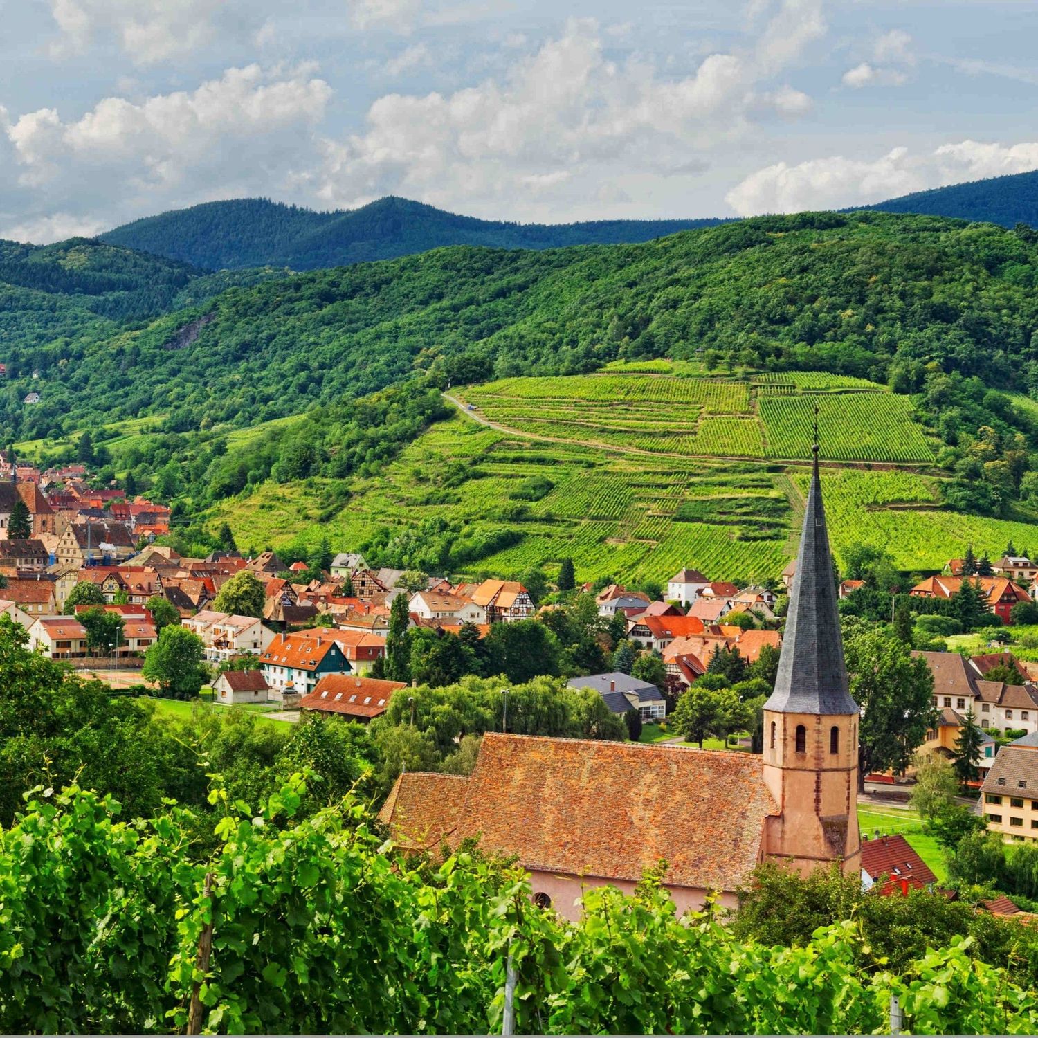 Route des Vins d'Alsace : 8 villages à ne pas manquer