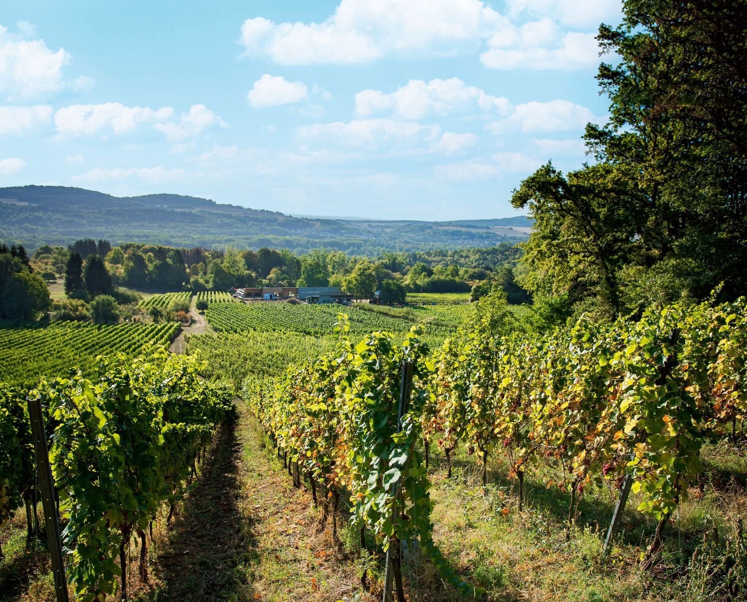Scopri la magnifica regione del Grand Est