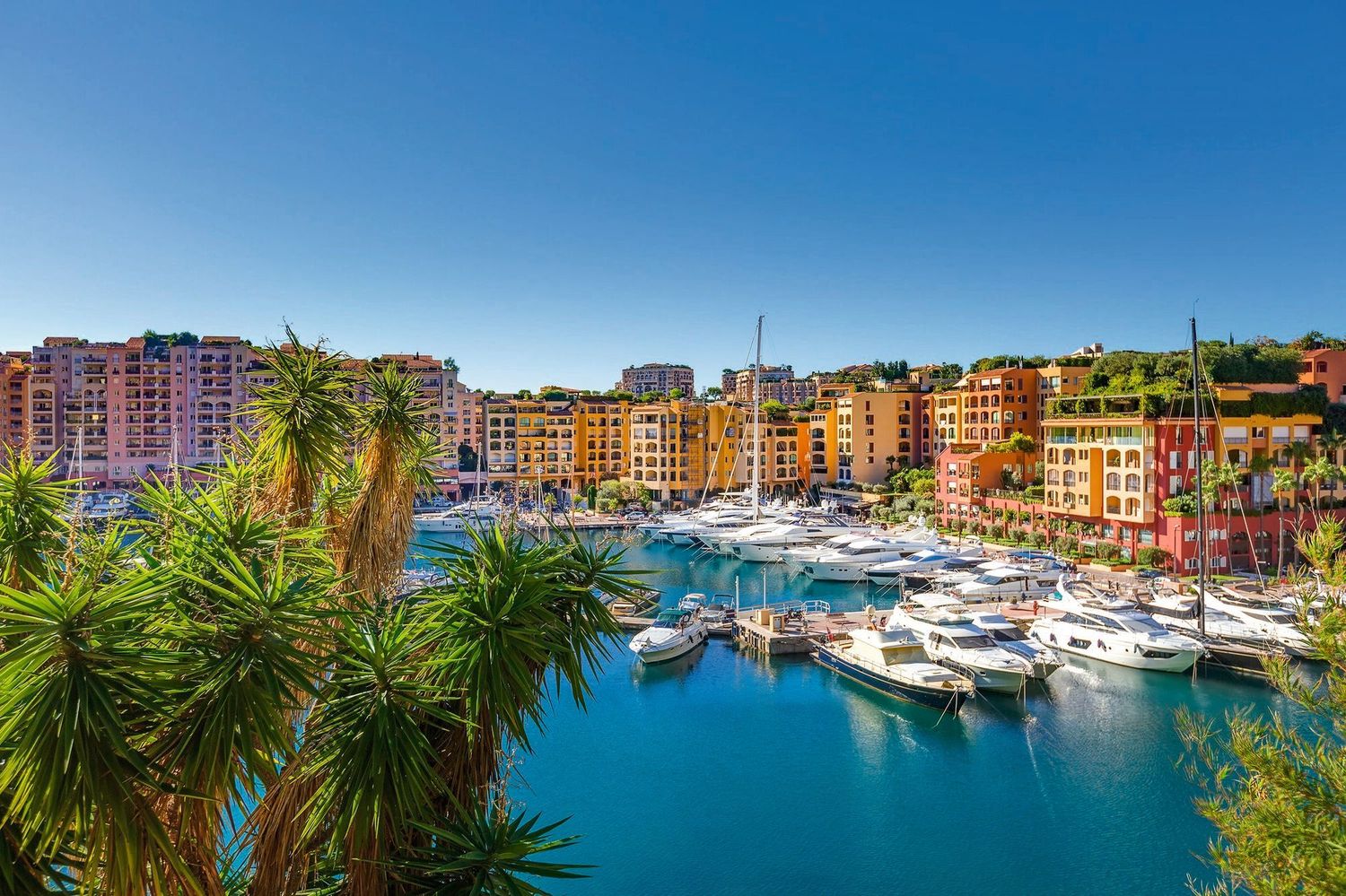 Savor, Ride and Unwind: Monaco - Explore France