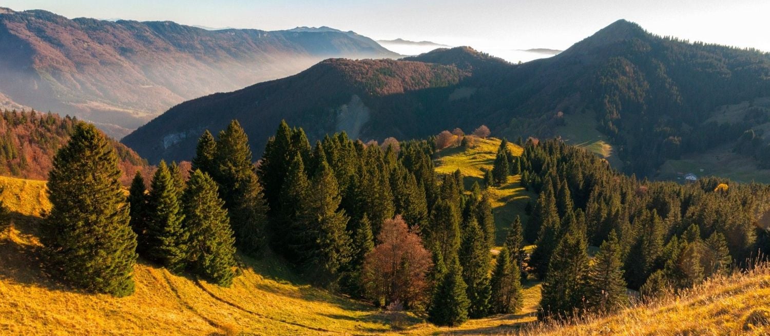 Pourquoi visiter le Jura en automne