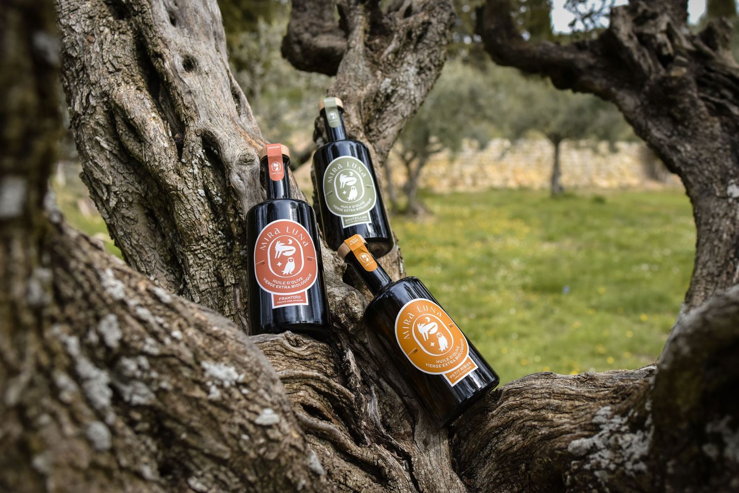 Les souvenirs de Provence à rapporter dans sa valise