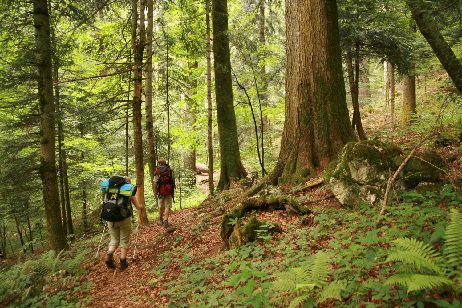 Los Alpes: los imprescindibles del turismo slow en pareja