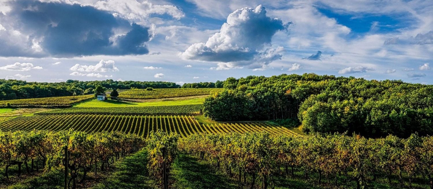 What to do in Cognac? - Explore France