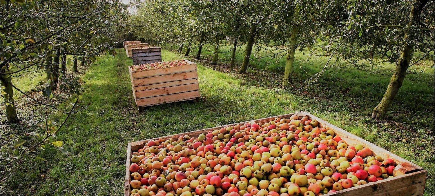 Normandy - Explore France