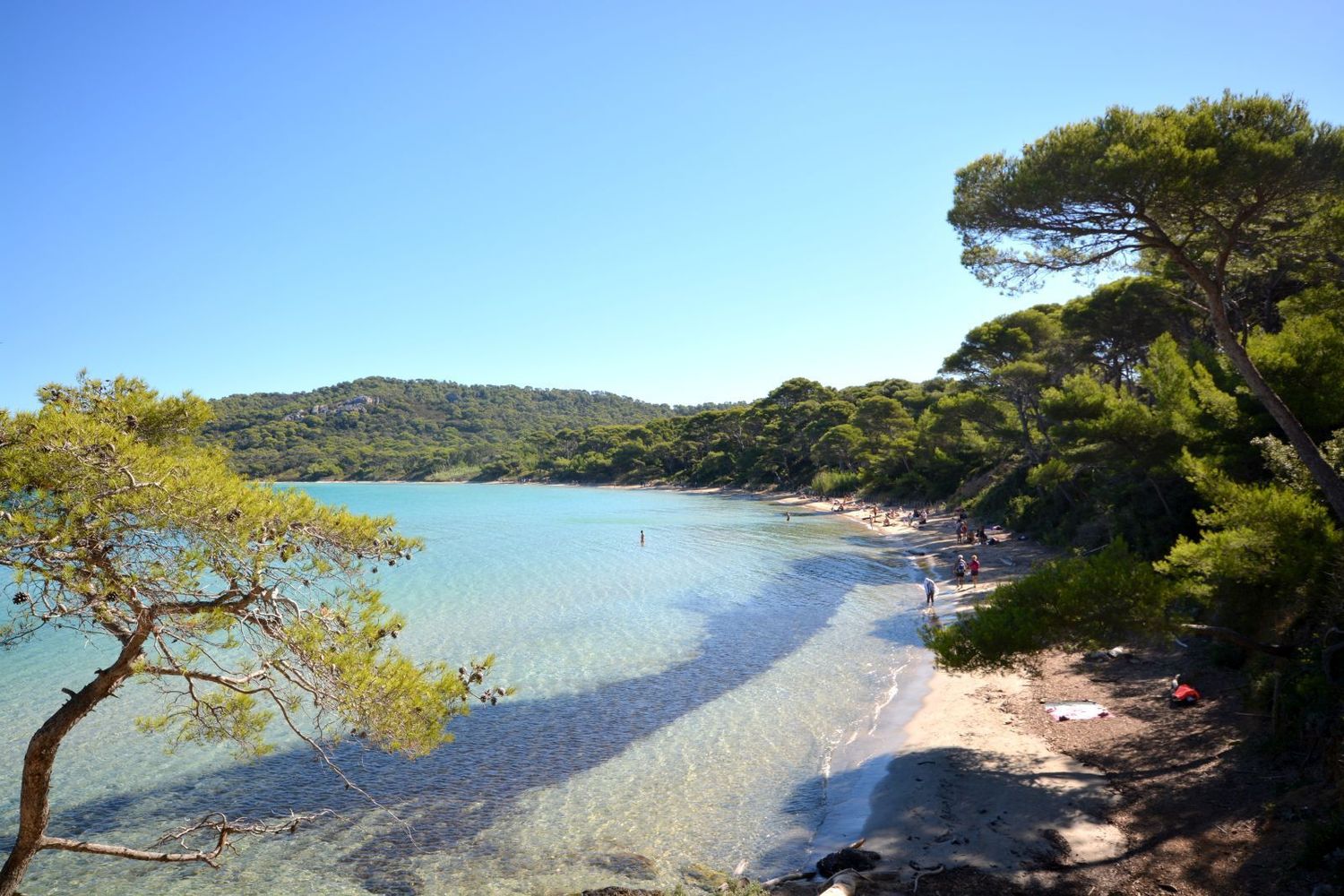 Porquerolles au printemps