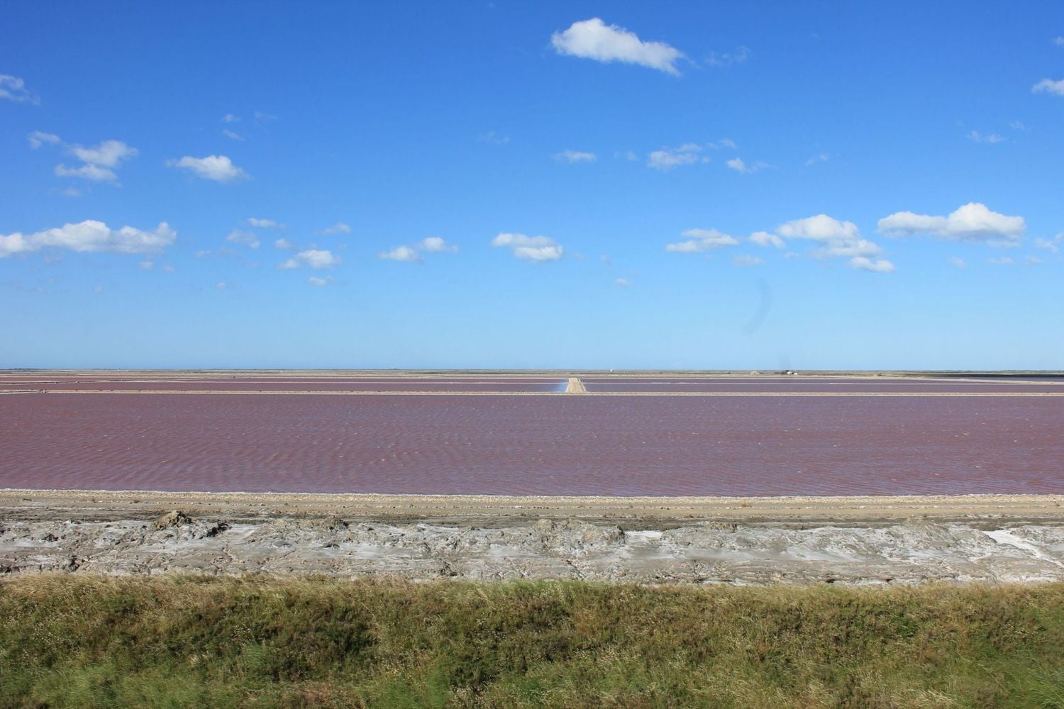 Camargue : sites et activités incontournables