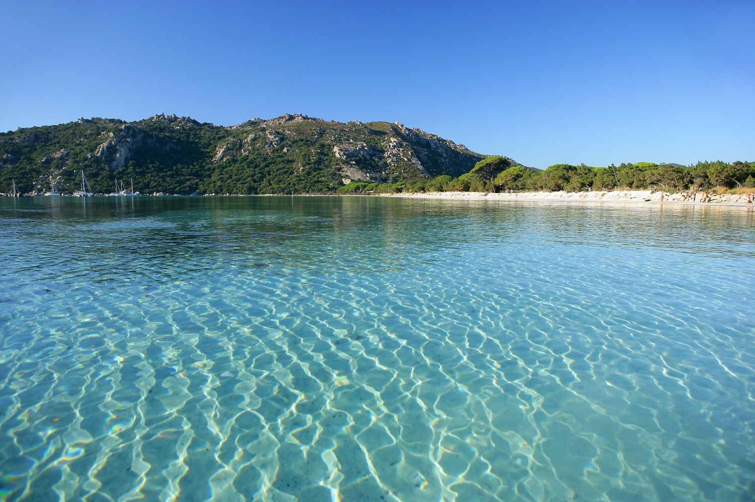 Urlaub auf der Insel Korsika